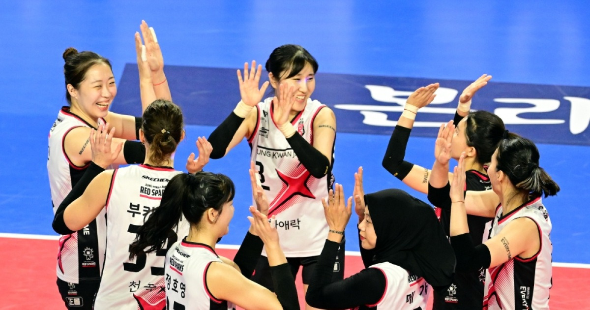 '45점 합작' 메가+부키리치 쌍포 폭발!…정관장, IBK기업은행 7연승 저지