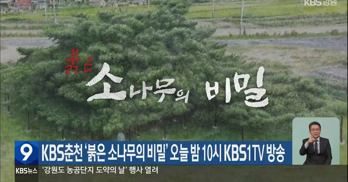 KBS춘천 ‘붉은 소나무의 비밀’ 오늘 밤 10시 KBS1TV 방송
