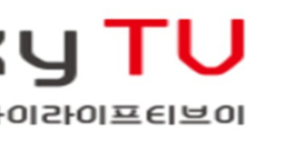 [단독] KT 손자회사 스카이TV, KT ENA로 사명 변경 추진