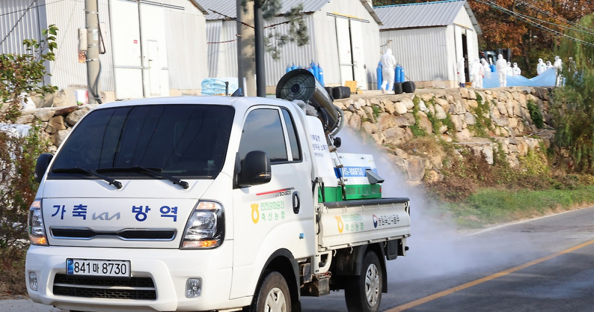 Korea confirms 14th case of bird flu for the season