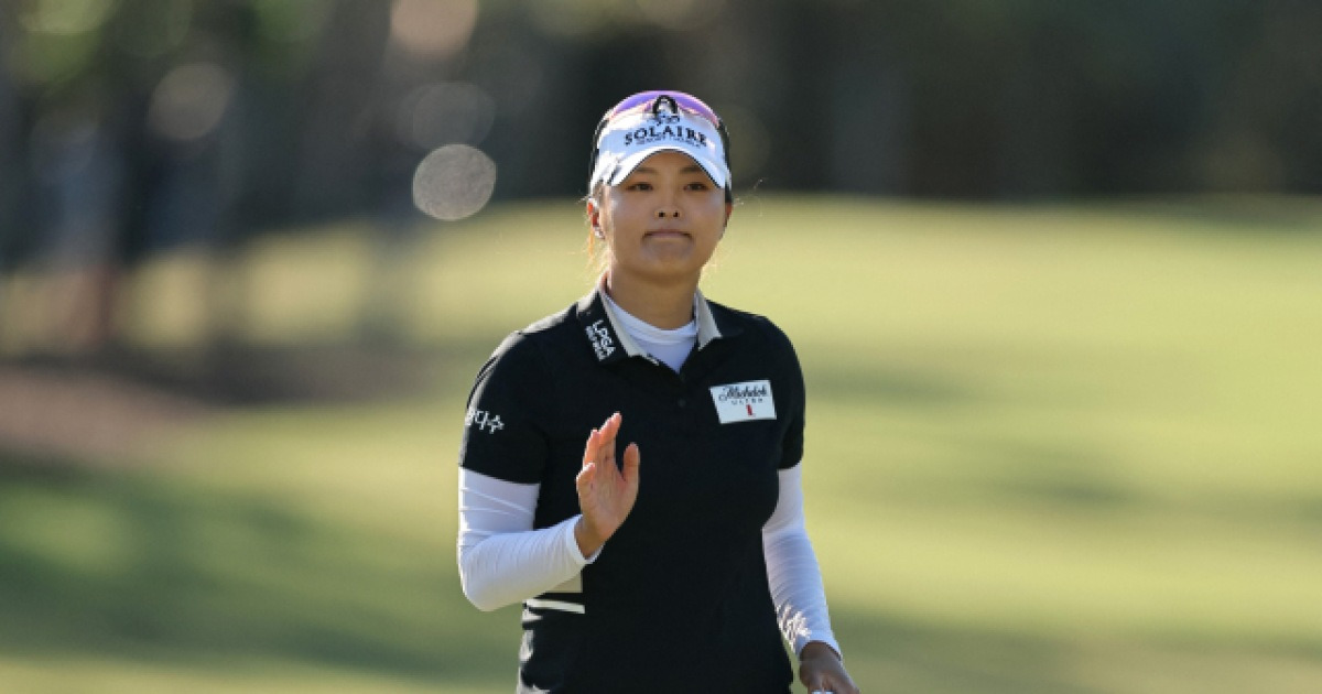 1000만 달러 이상 번 한국 선수 ‘LPGA 8명 vs PGA 8명’ 같은데···전체는 ‘LPGA 26명 vs PGA 222명’ 큰 차이