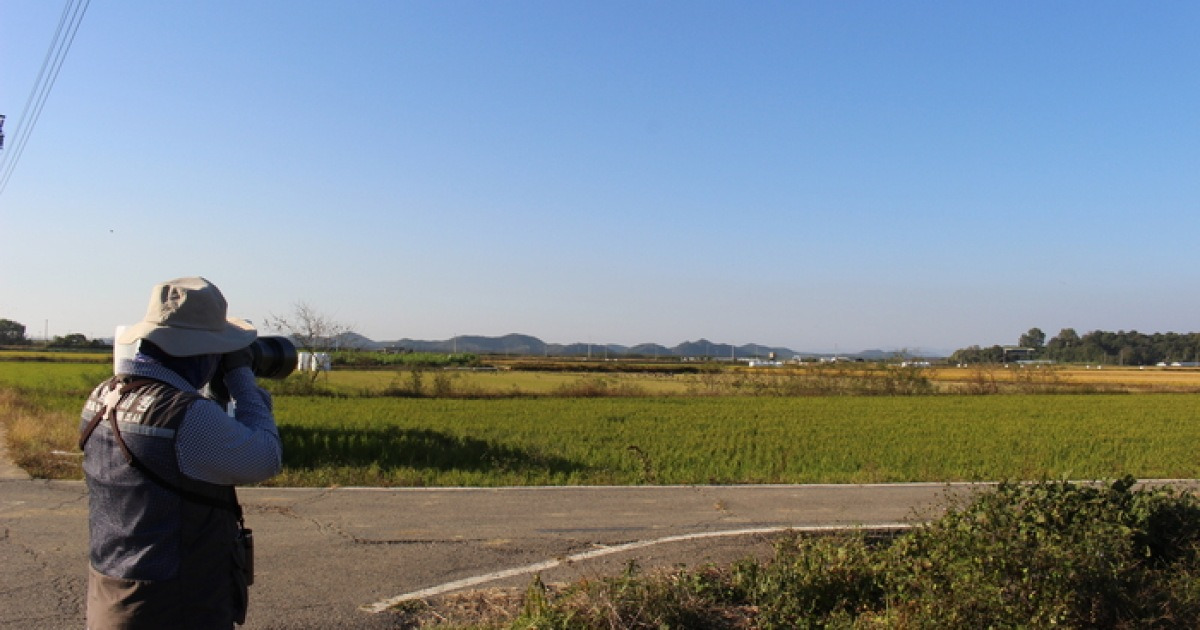 DMZ에 멸종위기 삵·황조롱이·매 산다