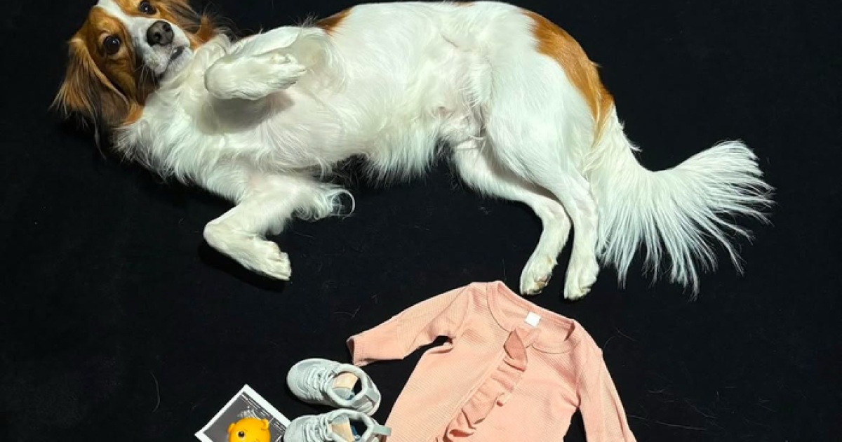 오타니 결혼 10개월만에 아내 임신 소식 발표…“작은 루키가 우리 가족에 합류한다”
