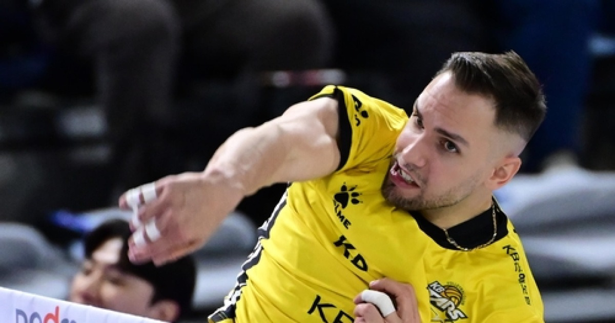 비예나·메가, 프로배구 3R MVP 선정