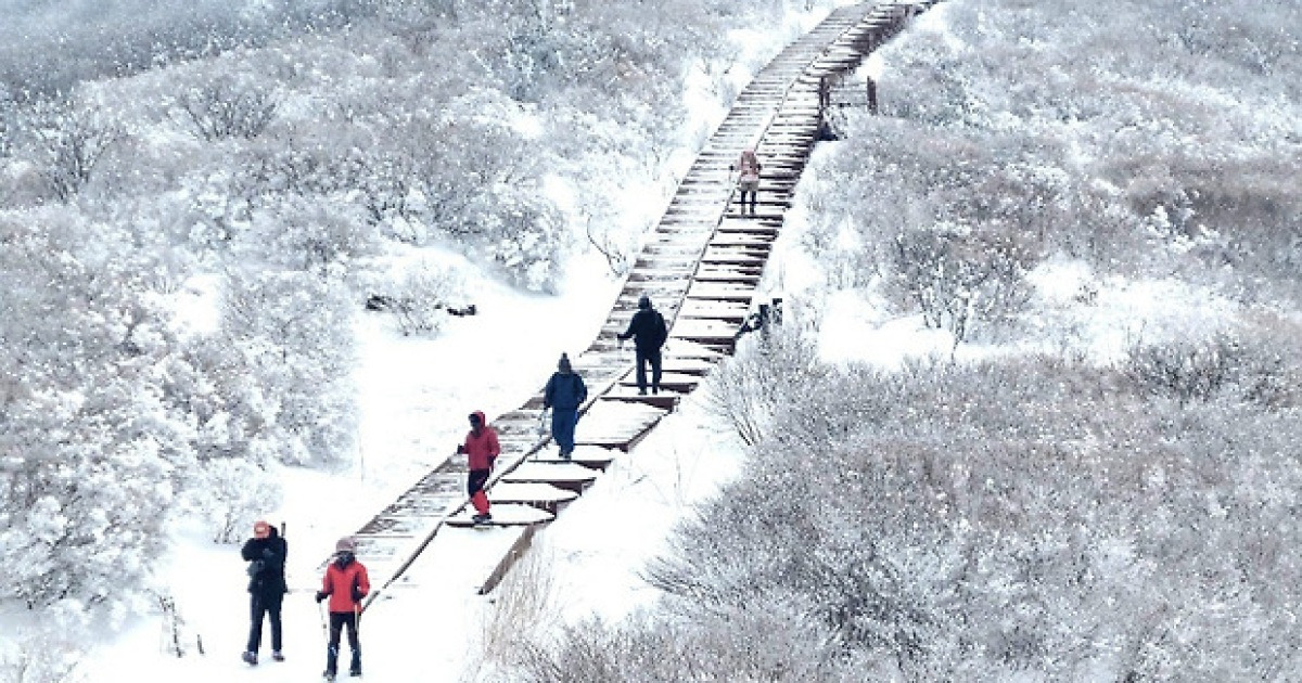 겨울왕국 된 지리산 노고단