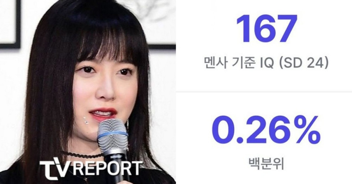 '카이스트생' 구혜선 "IQ 멘사 기준 167"...천재 인증