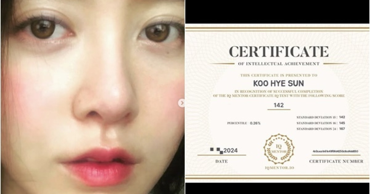 'IQ 167' 구혜선, 인증서 재차 공개 "검사 이유? 패턴 연구에 관심"