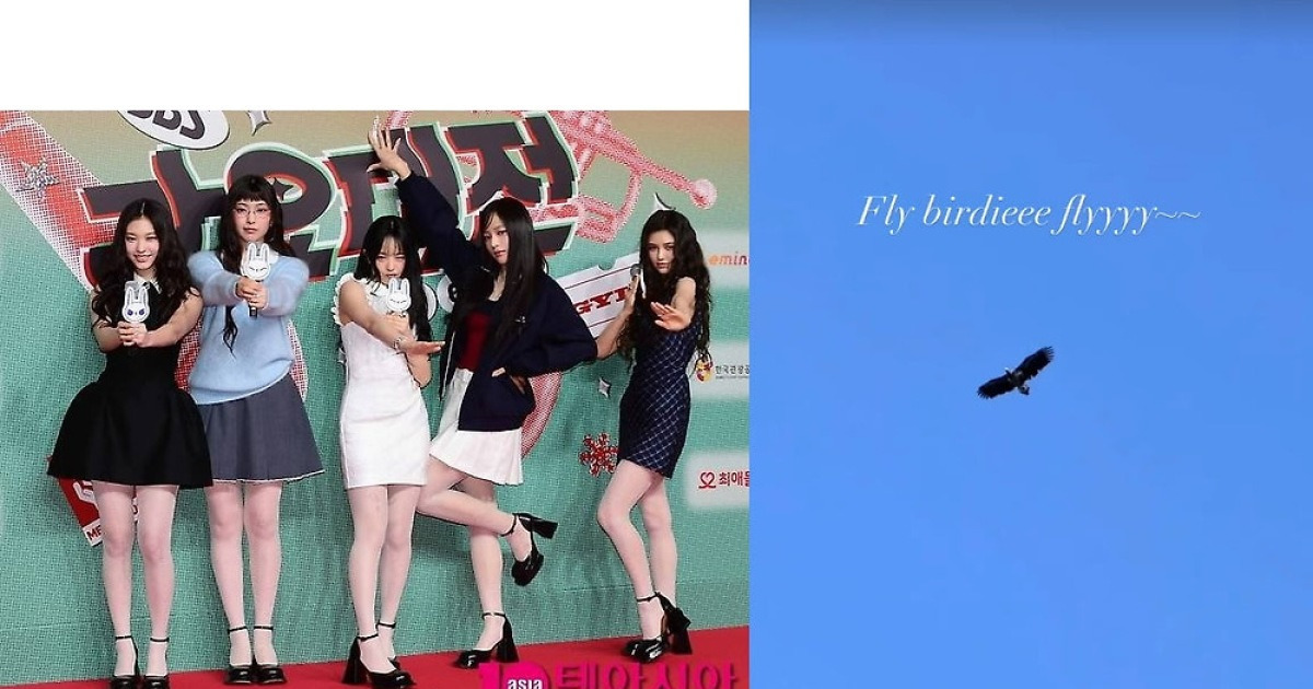 이름 버린 뉴진스, 새 팀명으로 재도약 꿈꾸나…"Fly birdie fly"