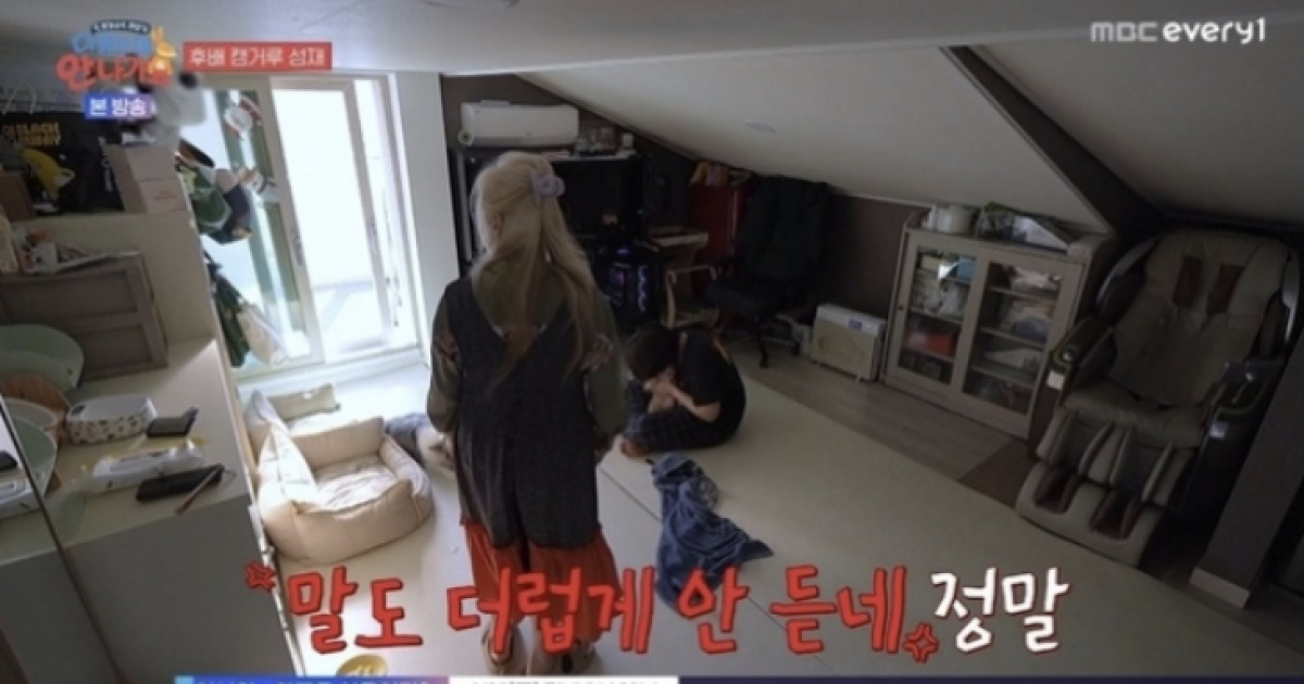 [TVis] 박해미 “X놈의…” 子황성재에 육두문자 잔소리 (다컸는데)