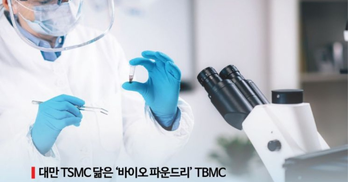 대만이 키우는 '바이오판 TSMC'…韓 CDMO 대항마될까