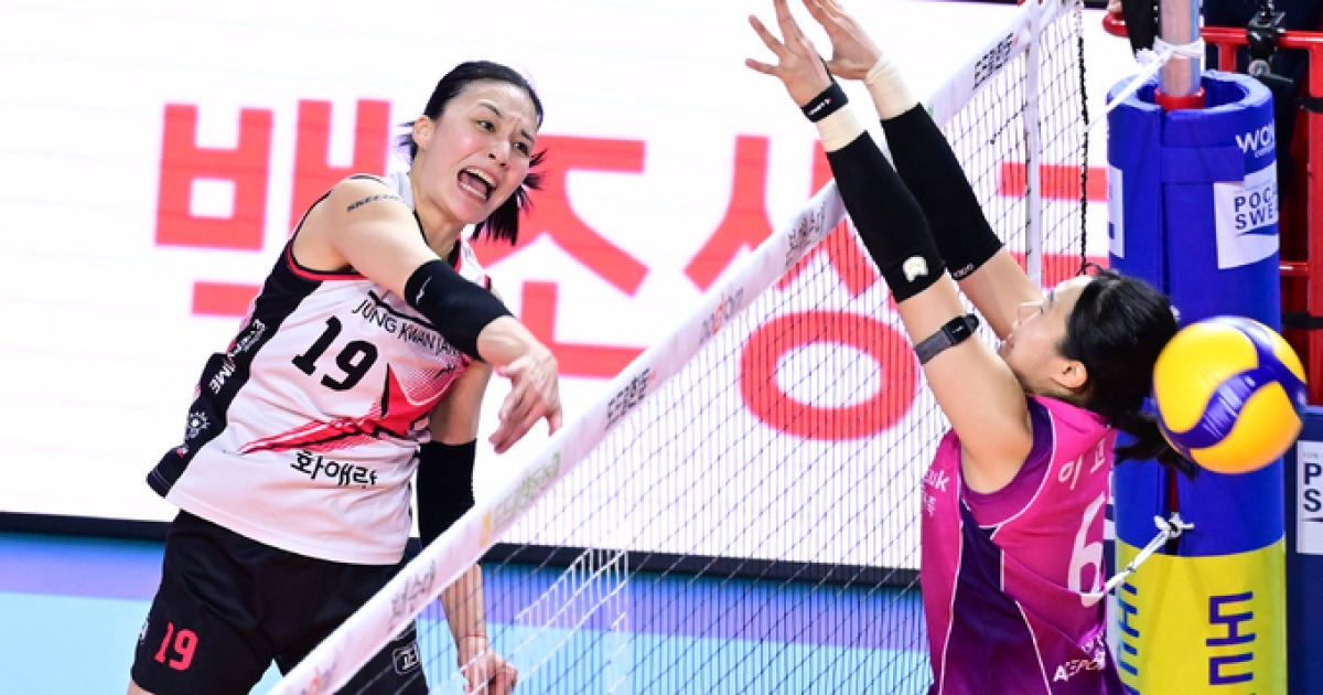 IBK 2옵션→FA 보상선수 이적→정관장 살림꾼으로 변신한 ‘복덩이’ 표승주 “떨어진 리시브 효율, 운동선수에게 평가는 당연해…더 노력하겠다”