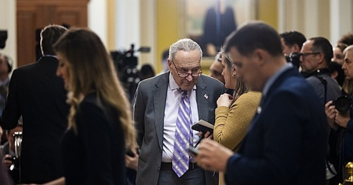 USA GOVERNMENT SCHUMER DOGE