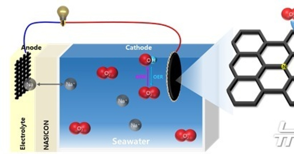 UNIST, '나무 찌꺼기' 이용 고성능 해수전지 촉매 개발
