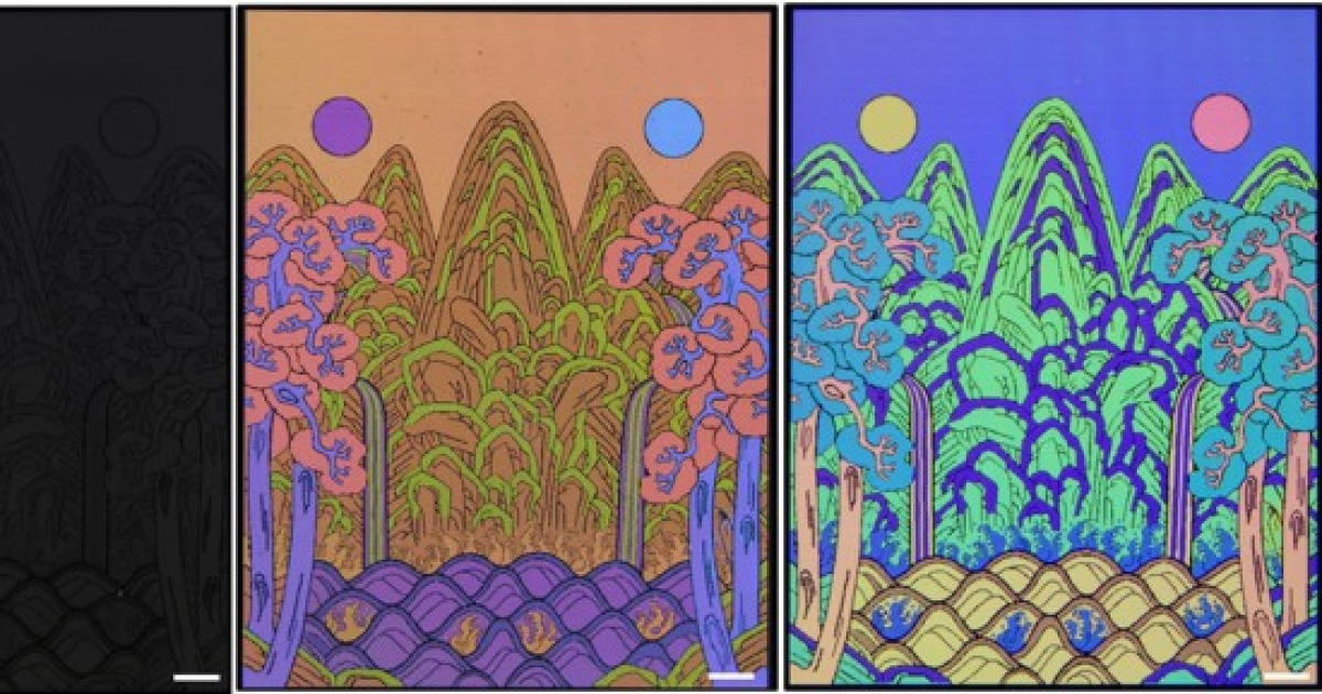 [과기원NOW] KAIST, 무색소 초정밀 컬러 그래픽 구현 기술 개발 外