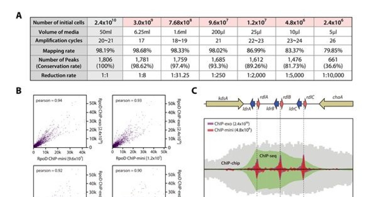 UNIST·고려대, DNA-단백질 결합 부위 추출 최적화 기술 개발