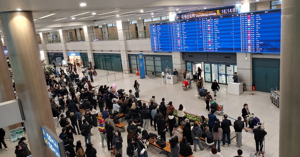 "야구선수들 무슨 날이에요?" KIA·LG·SSG 감독 3인 나란히 앉은 사연 → 같은 비행기 동반 입국 진풍경