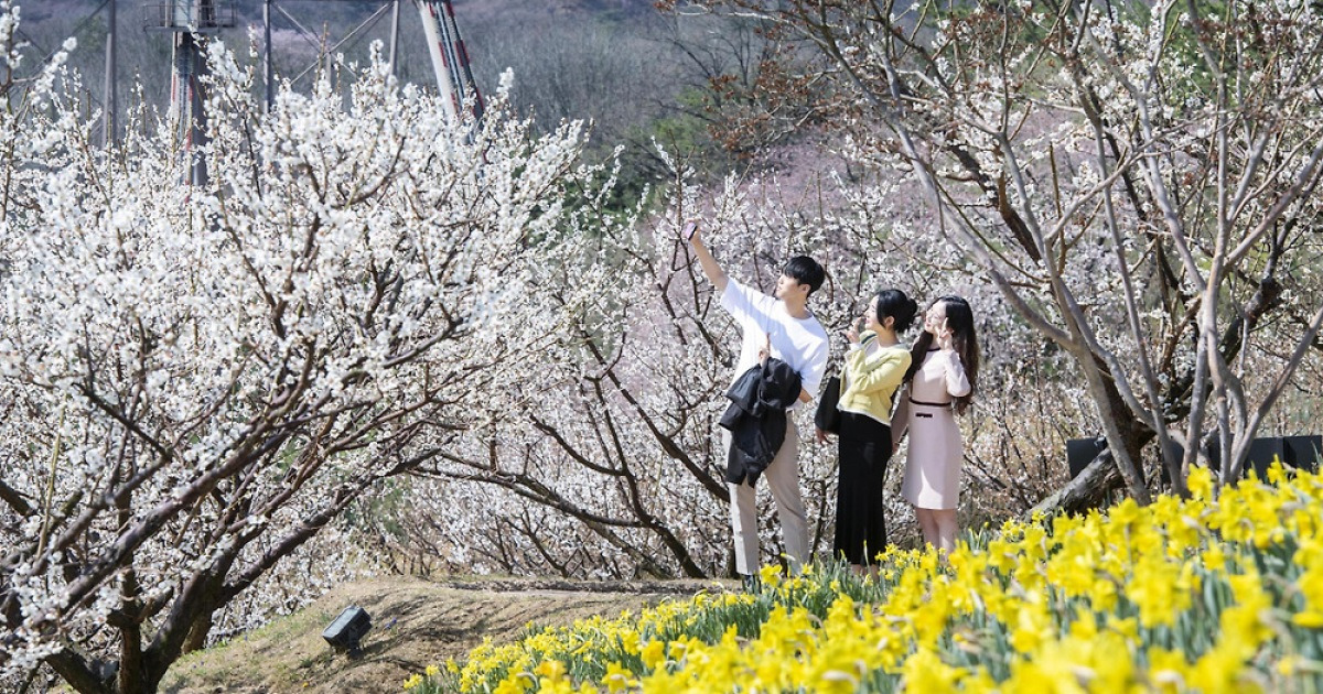 [Travel Bits] Festivals, sights across Korea