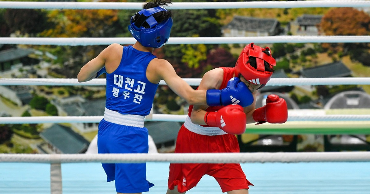 전국 복싱 유망주 700여명 영주서 한 자리