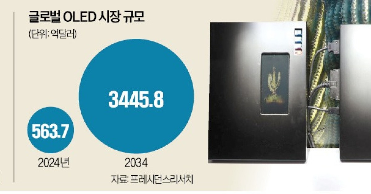대세 OLED…삼성·LG 뒤 '숨은 강자' 있었네