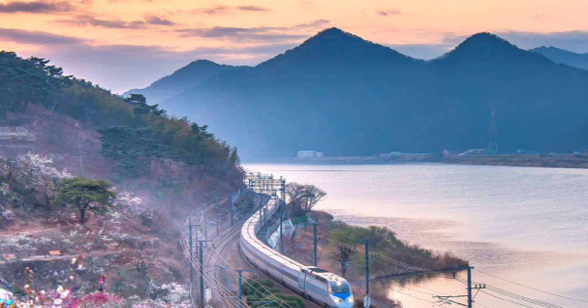 개통 21년간 KTX 이용객 11억4000만 명… 국민 1인당 23번 탑승한 셈