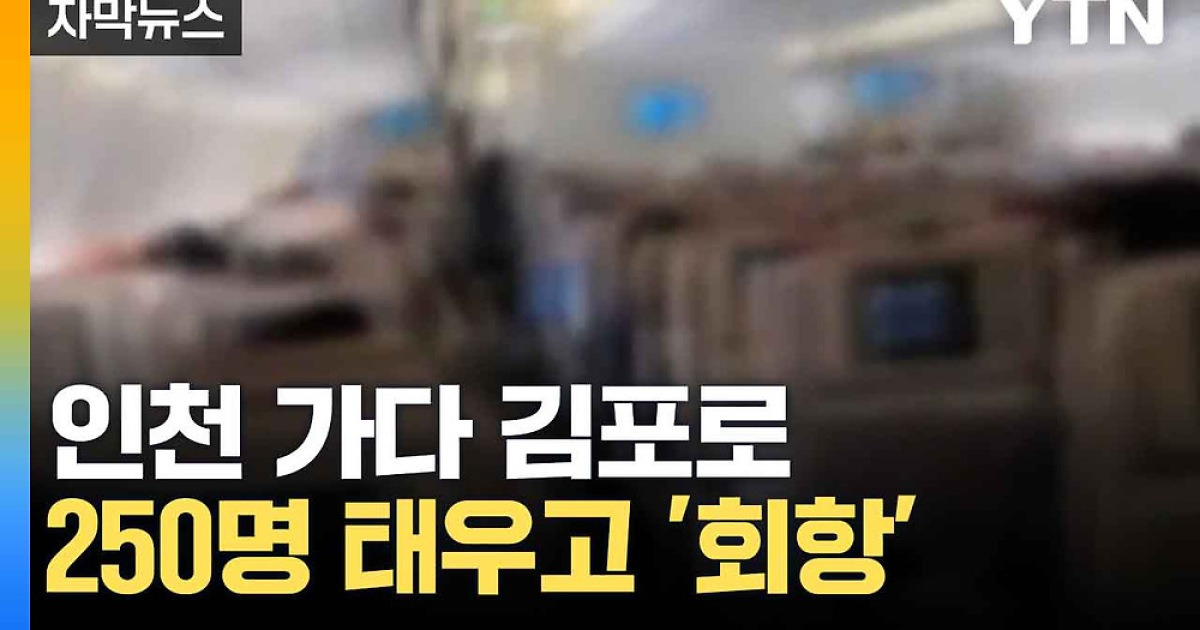 [자막뉴스] 기체 문제에 김포 착륙...250여 명 승객들 불편