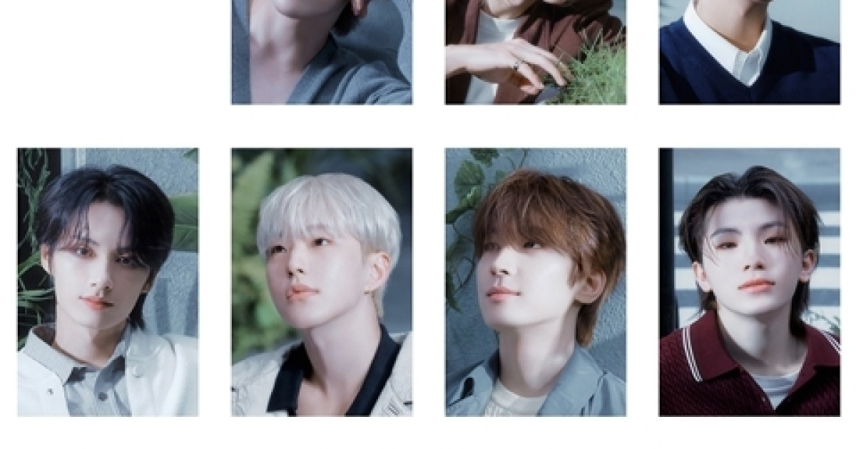 세븐틴 식지 않는 인기…日 레코드협회 ‘트리플 플래티넘 인증 추가