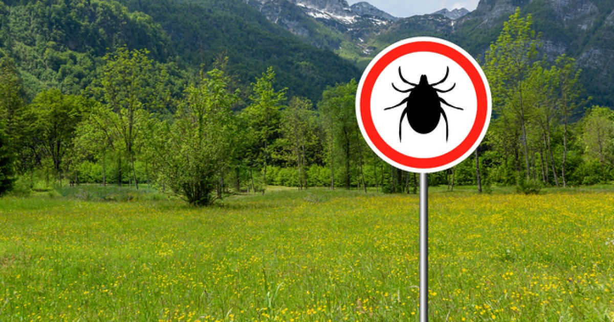 “감염땐 5명중 1명 사망”…올해 첫 SFTS 확인