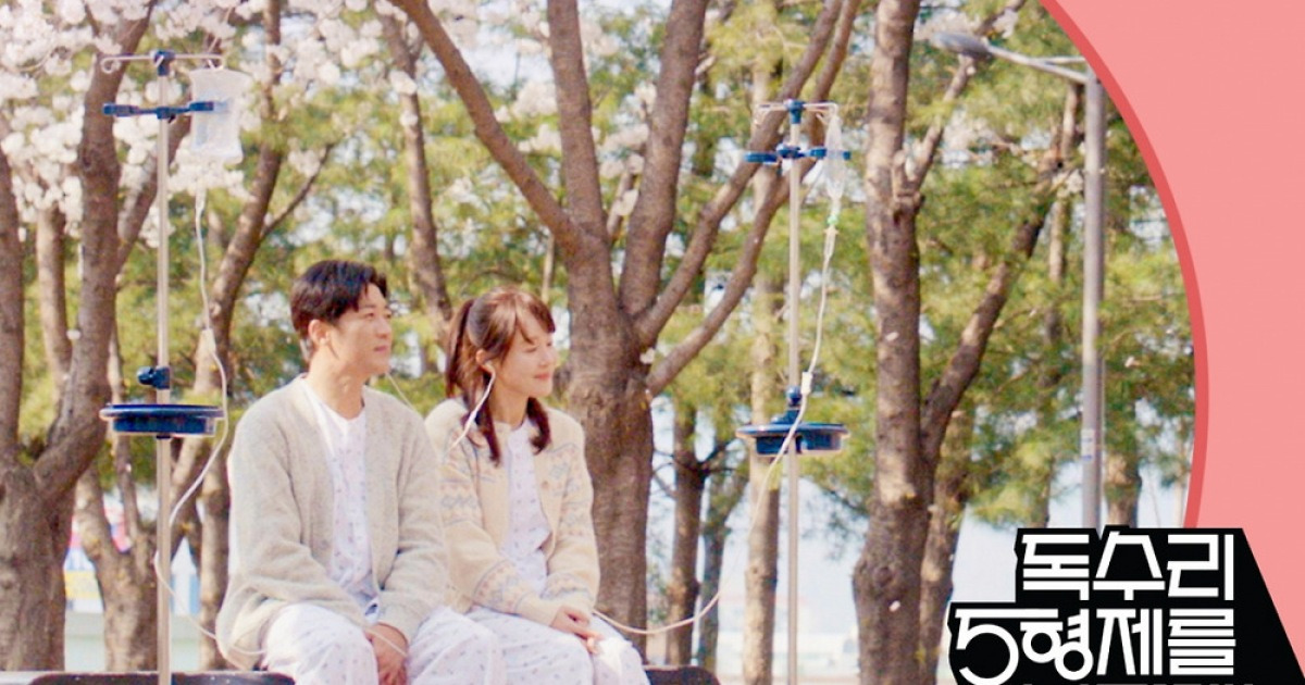 엄지원·안재욱, 설렘 유발송..'독수리 5형제..' OST 21일 너드커넥션(서영주) '당신은 누구시길래' 발매