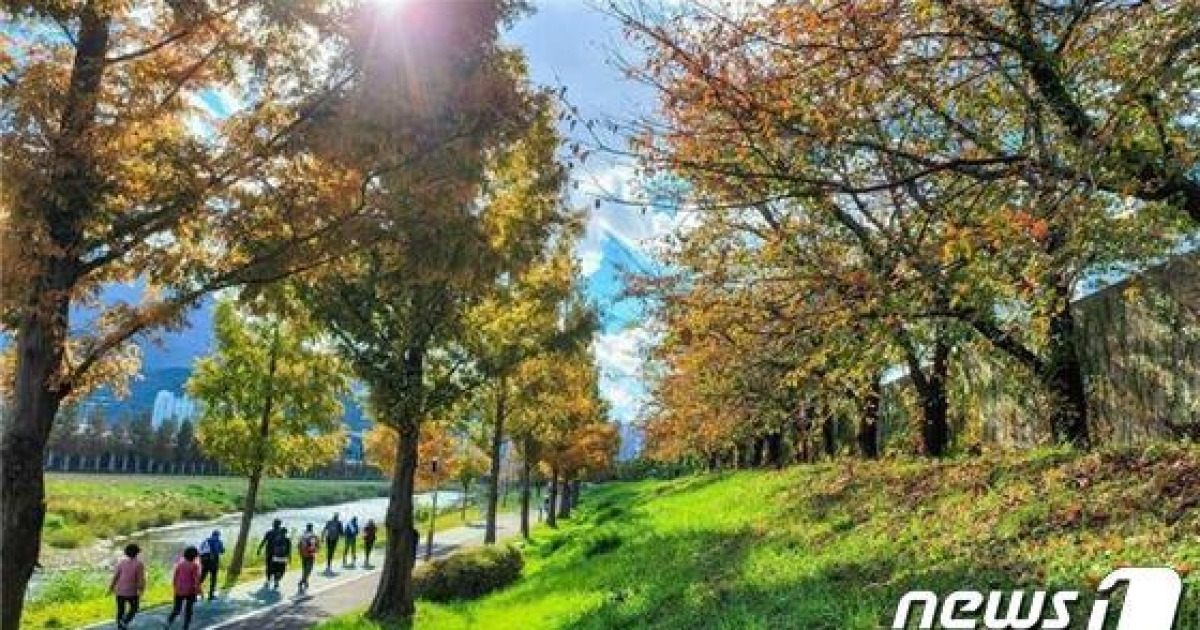 부산시, 욜로 갈맷길 함께 걷기 행사…6월30일까지