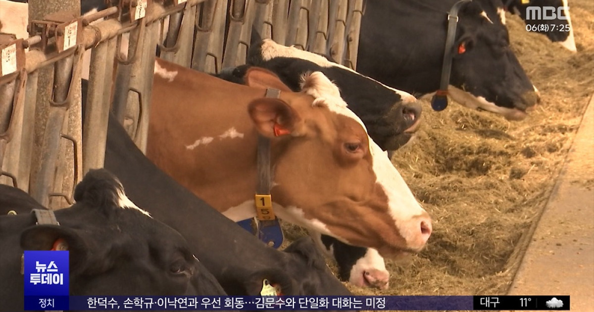 친환경 청정목장‥"수명 증가·고품질 우유"