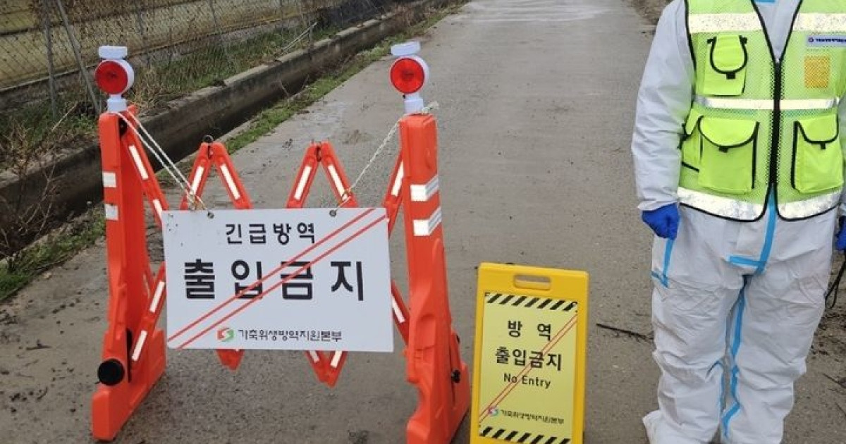 충북 고병원성 AI, 193일 만에 종식…"이동제한 해제"