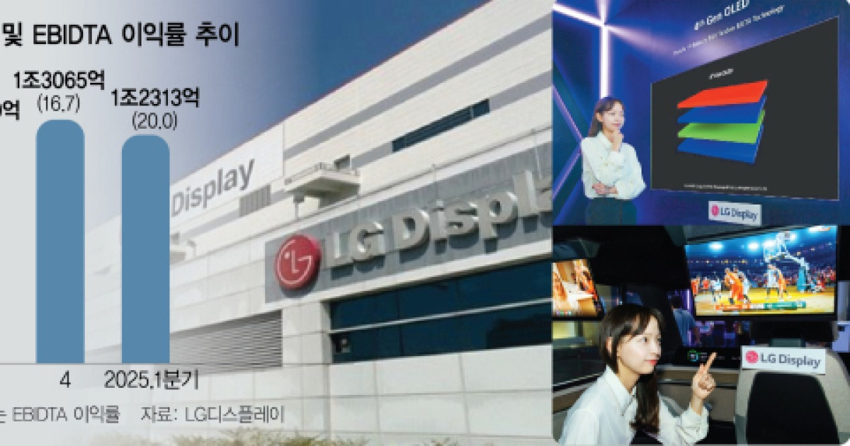 OLED 혁신 통했다···LGD "올 실적 턴어라운드 원년" [스타즈 IR]