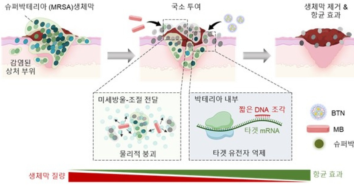 KAIST, 슈퍼박테리아 보호막 제거 가능한 미세방울 유전자 기술 개발