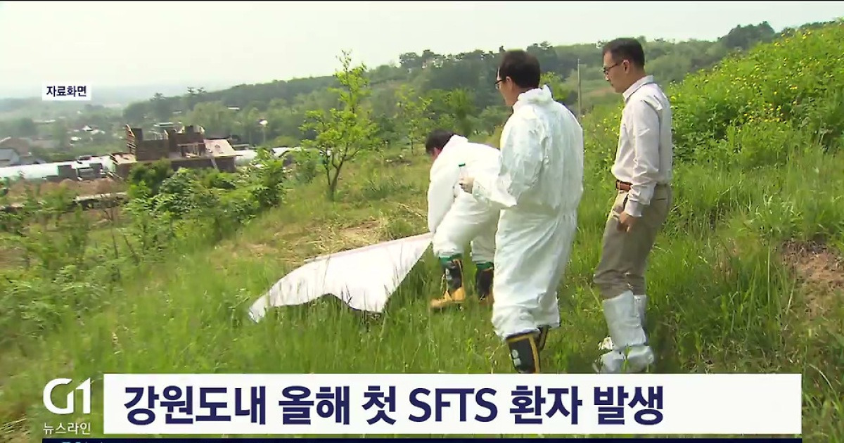 강원도내 올해 첫 SFTS 환자 발생