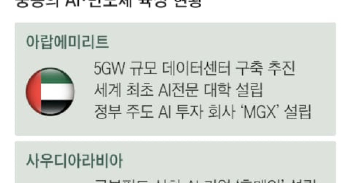 UAE, 반도체 공장 TSMC와 추진… 중동, AI 허브 꿈꾼다
