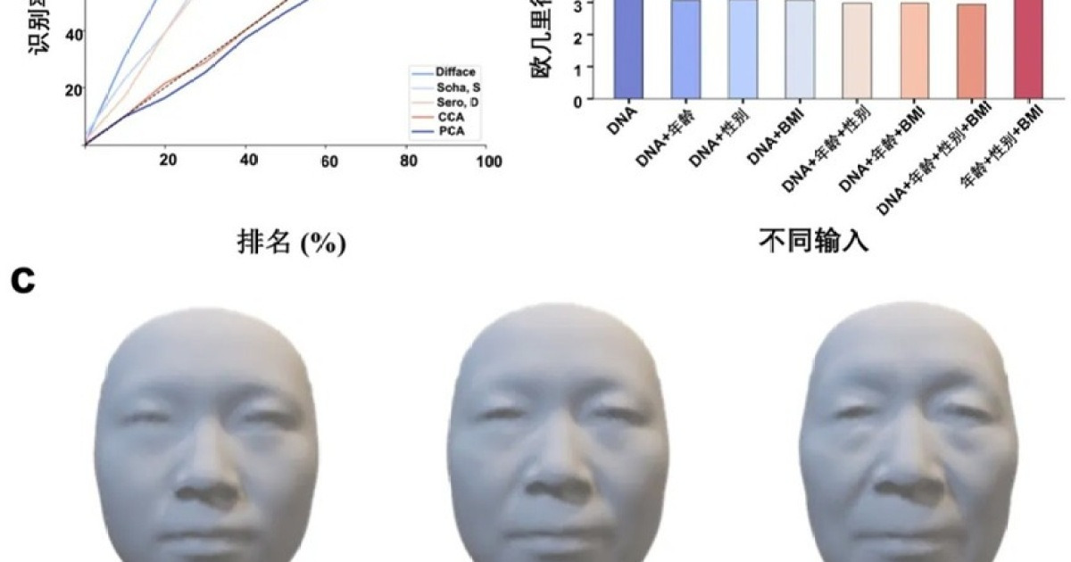 "AI로 범인 잡는다"...中연구진, 'DNA로 얼굴생성' AI모델 개발