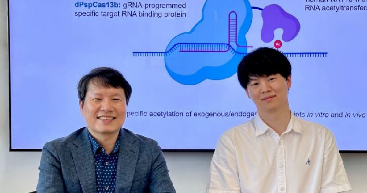 "원하는 RNA만 콕!" KAIST, 표적 RNA 변형 기술 개발
