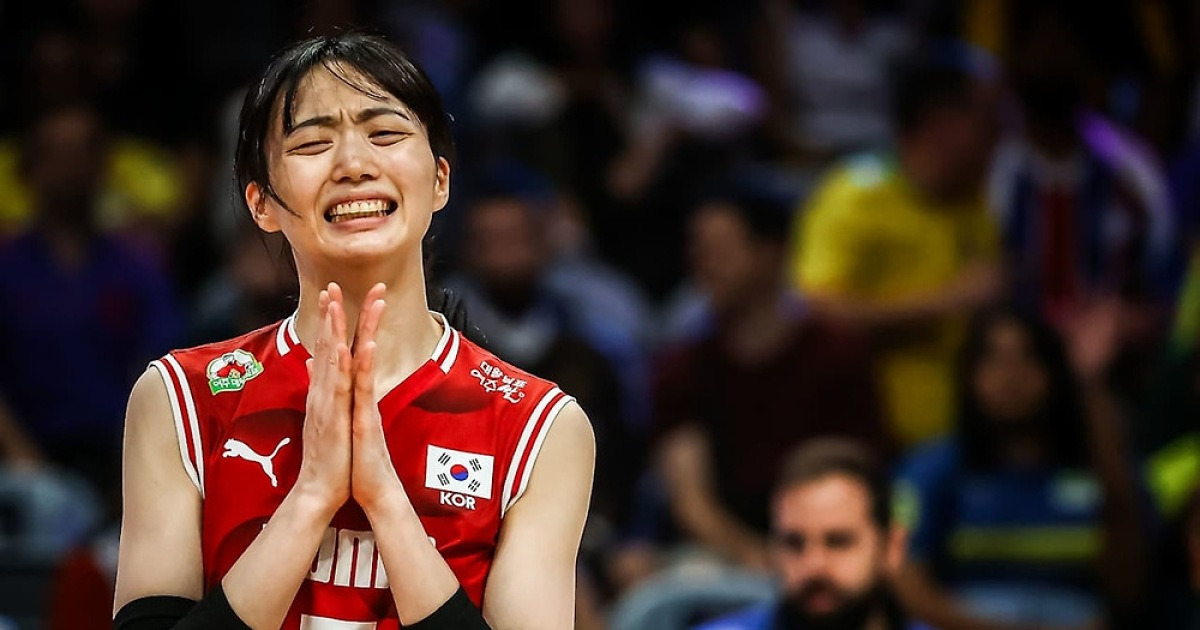 ‘강등 피하려면 1승 더 필요한데···’ VNL 3주차 상대도 만만치 않다 ‘너무 강한 폴란드-일본 대신 불가리아-프랑스 타깃’