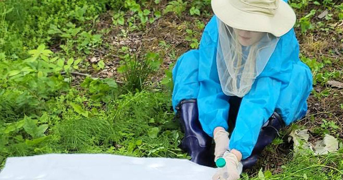 청주 병원서 의료진 7명 SFTS 2차 감염…역학조사 중