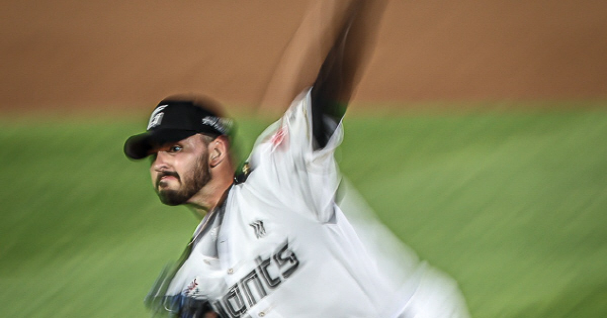 158km 롯데 감보아 6연승…LG전 '선발 맞대결' 승리