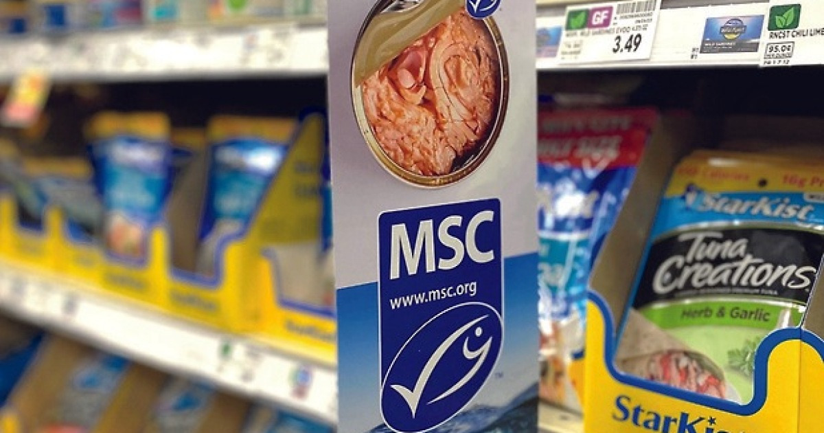 수산물로 단백질 섭취, MSC·ASC는 뭐가 다르지?