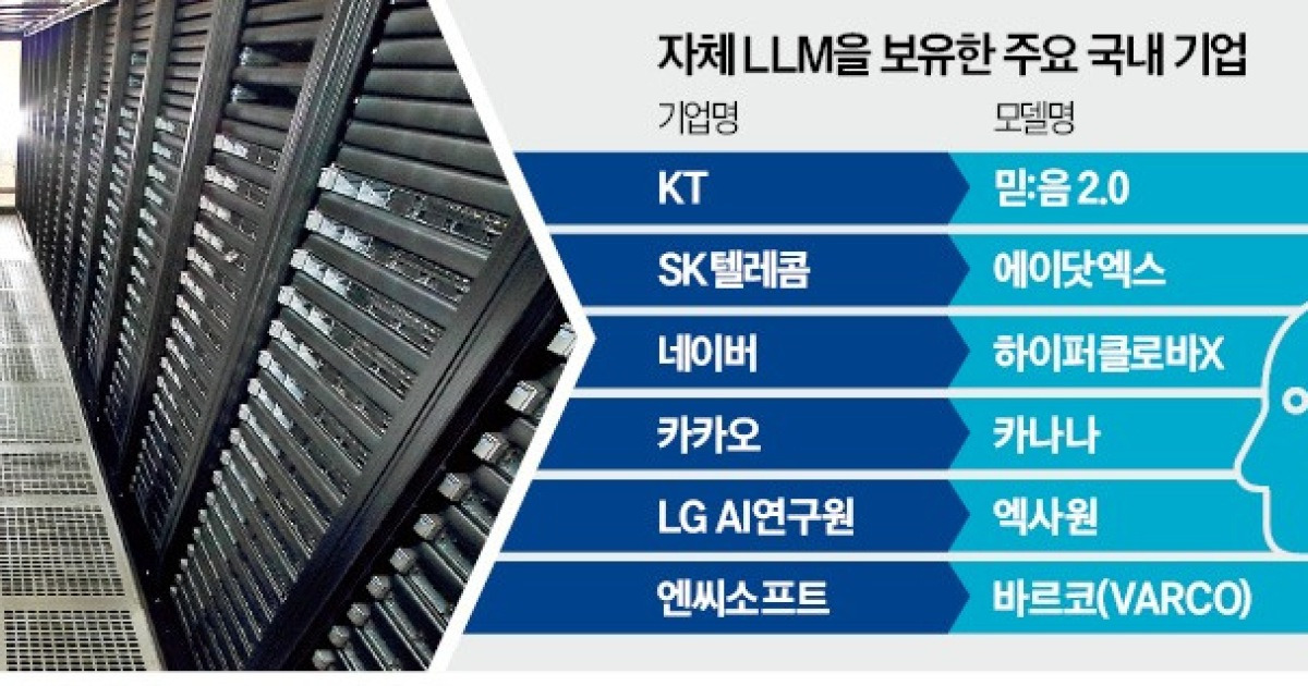 "AI 대장주 안 놓친다"…'한국형 LLM' 열풍 올라탄 KT