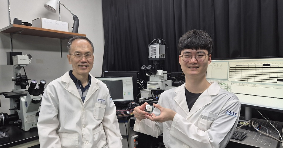 KAIST, 3D 뇌 모사 플랫폼 구현 성공