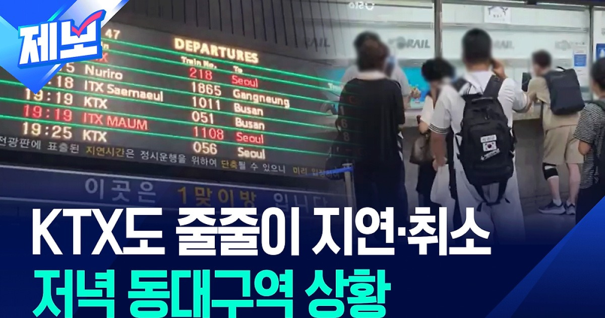 KTX 운행도 곳곳서 차질…동대구역 제보영상 보니 [제보]
