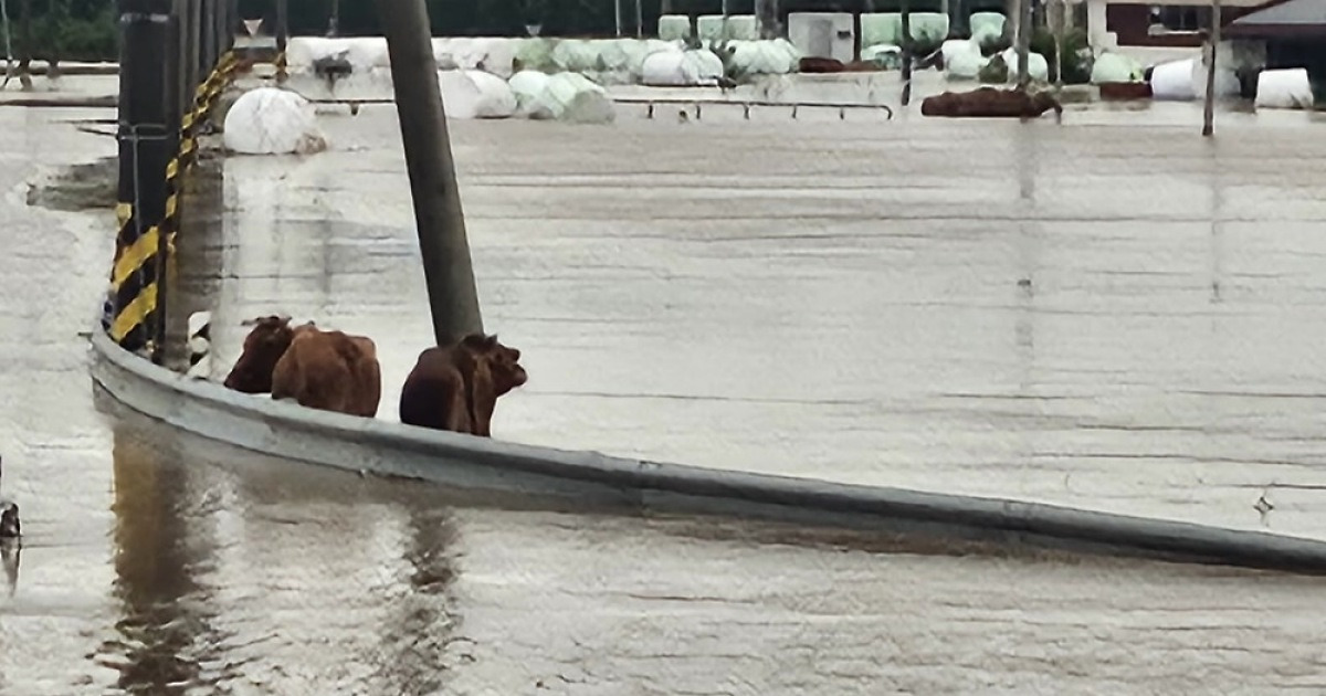 폭우 피해 최소화 하는 대비 요령은?