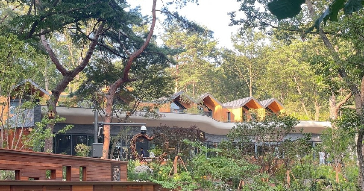 Surak Hyu, Seoul's 1st urban forest retreat offers treehouse stays ...