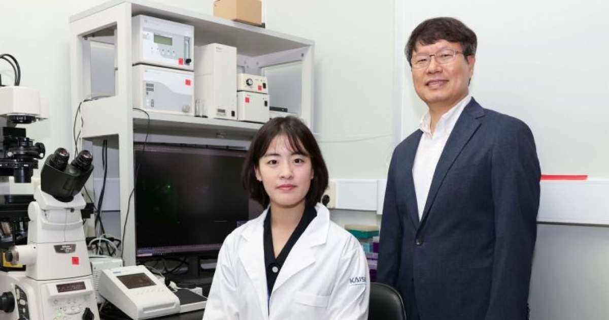 KAIST, 단백질·mRNA 빛으로 꺼내 쓴다 '원할 때'