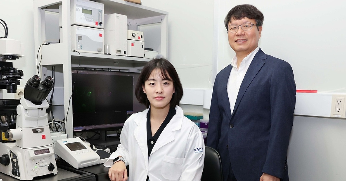 KAIST “mRNA 저장…원할때 꺼내 쓴다”