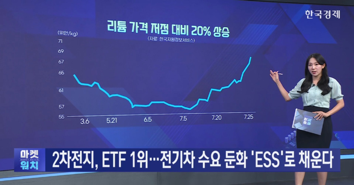 2차전지, ETF 1위…전기차 수요 둔화 'ESS'로 채운다 [마켓딥다이브]