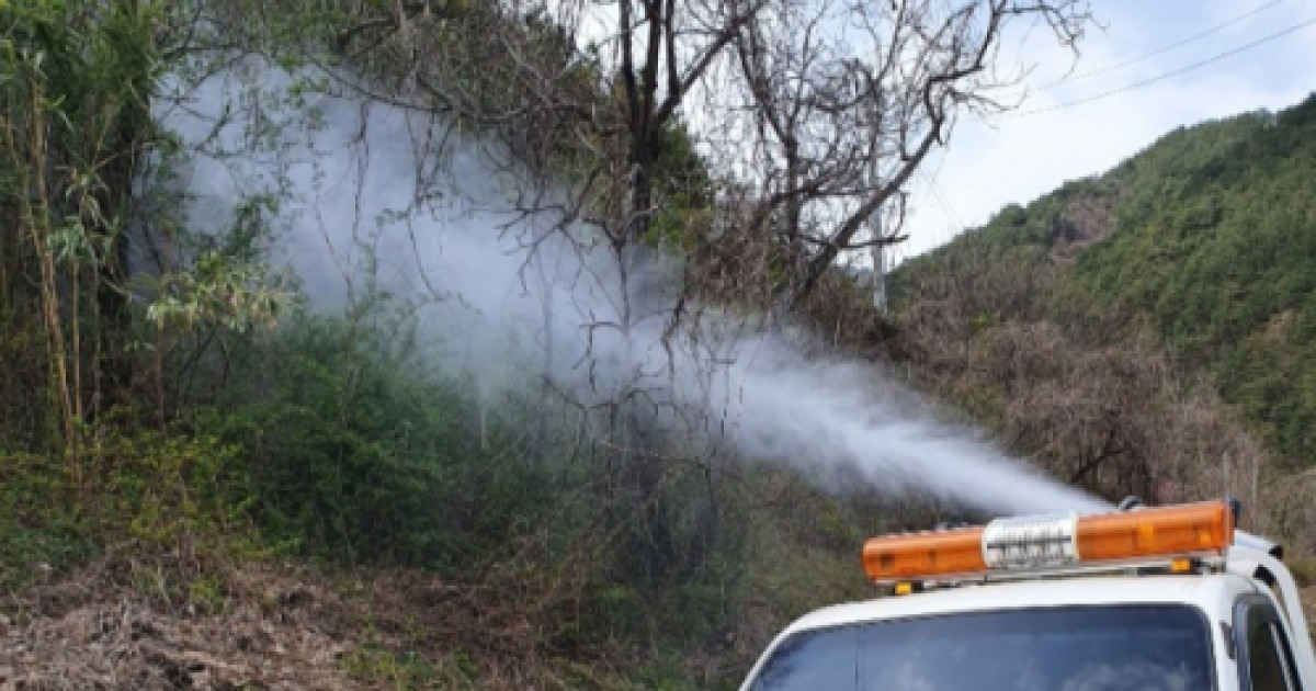 강원도내 SFTS로 4번째 사망자 발생…진드기 주의보